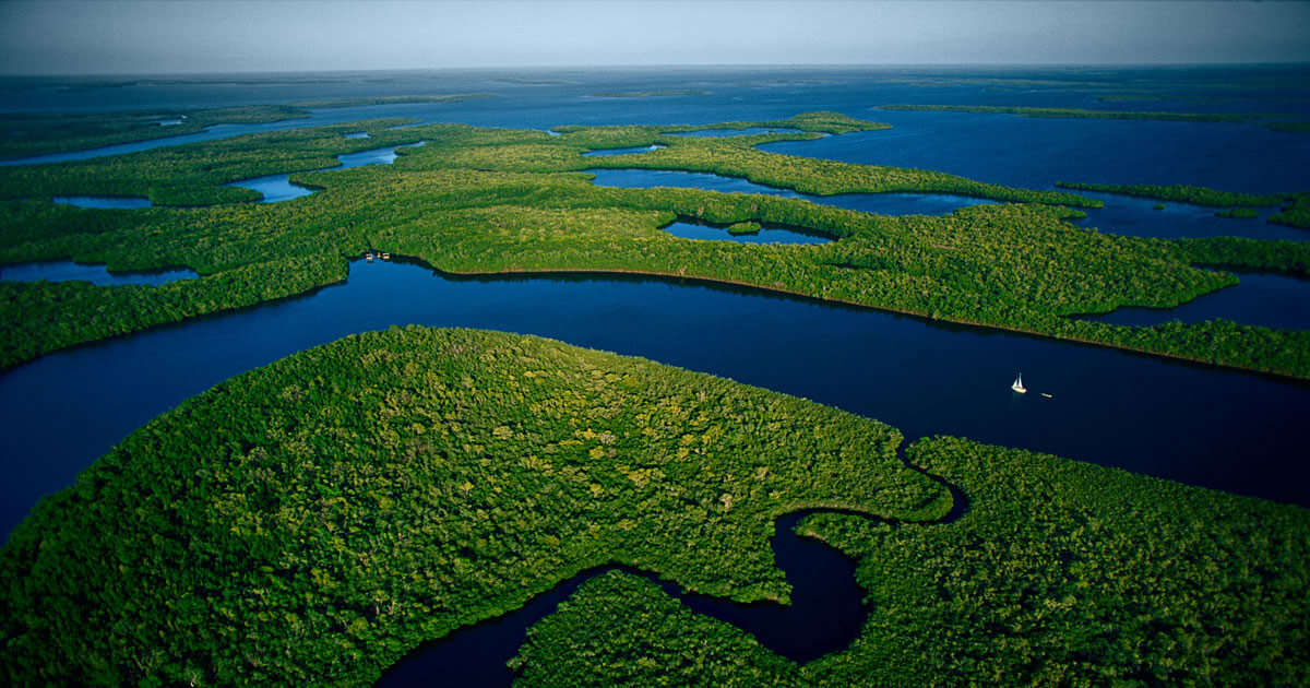 Projets Archive – Fondation Didier et Martine Primat