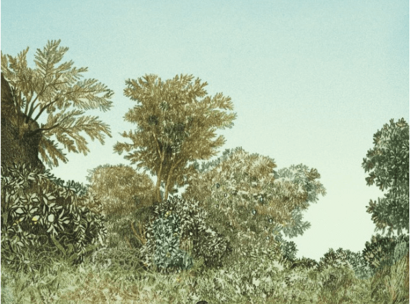 Rewarding young authors inspired by environmental issues – Fondation ...