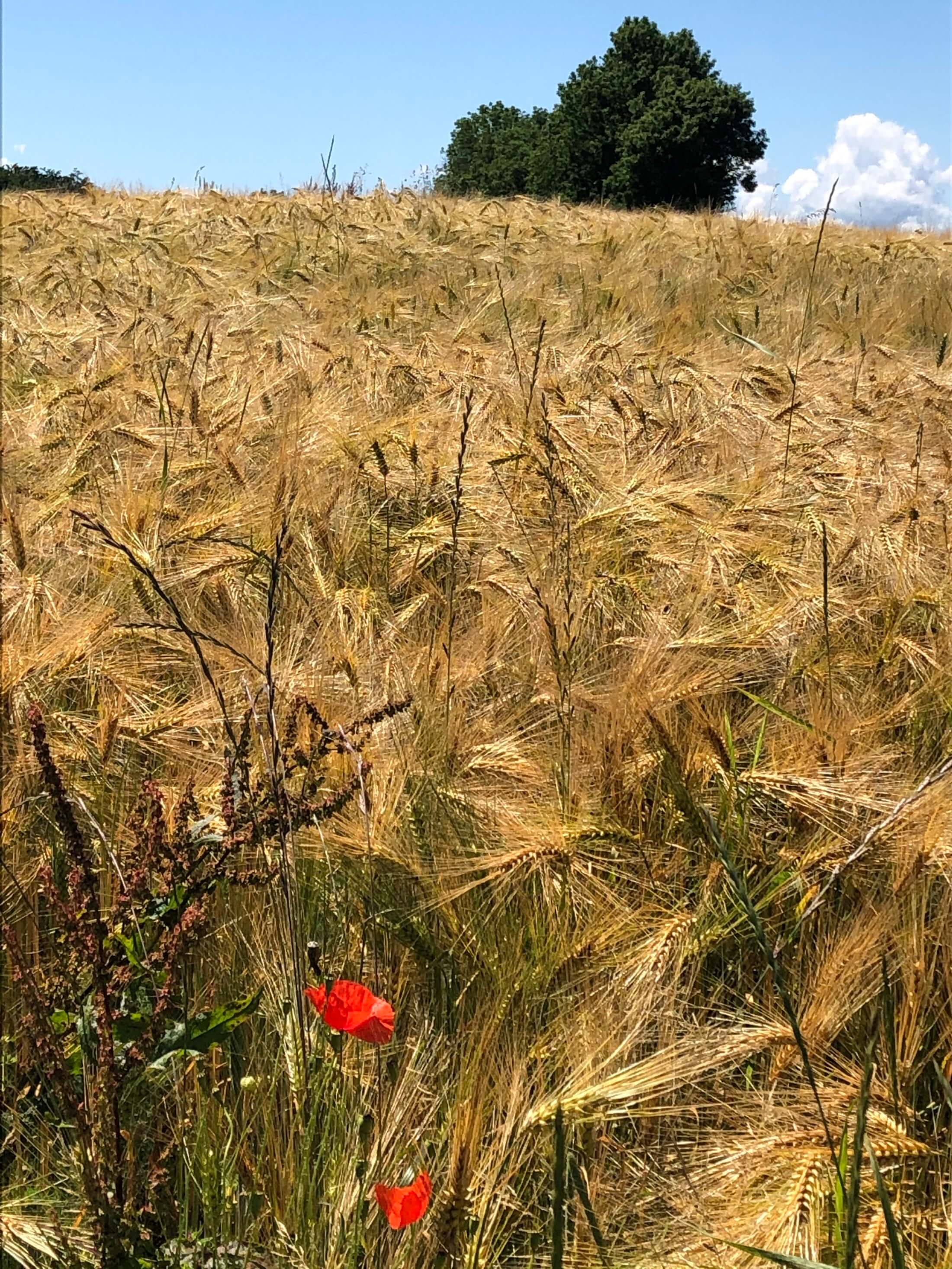 News – Page 3 of 6 – Fondation Didier et Martine Primat