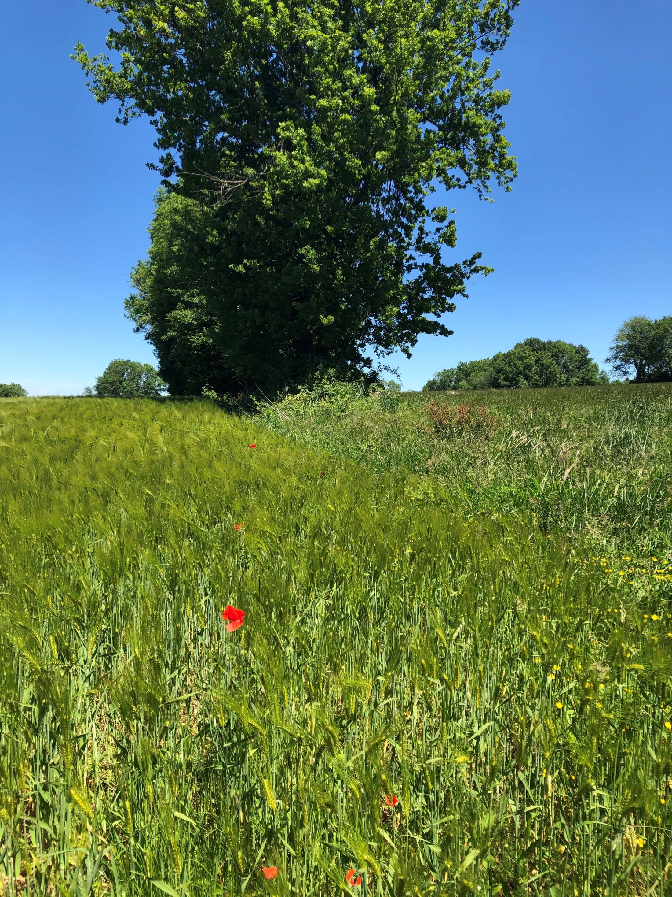 News – Page 2 of 6 – Fondation Didier et Martine Primat