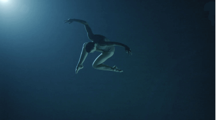 News – Fondation Didier et Martine Primat