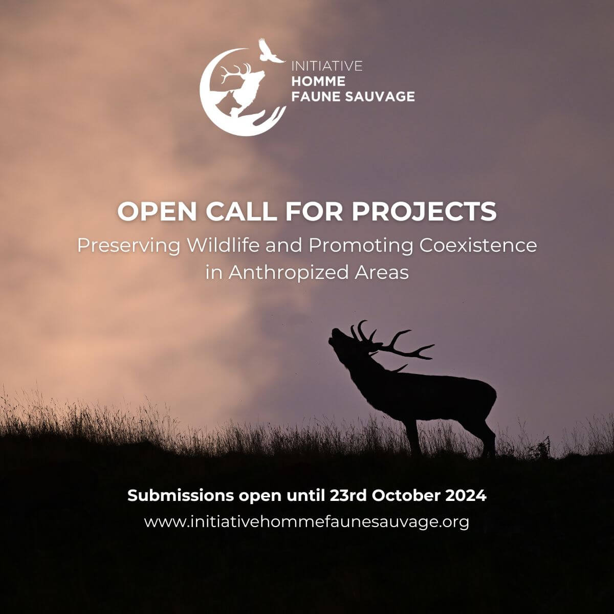 News – Fondation Didier et Martine Primat